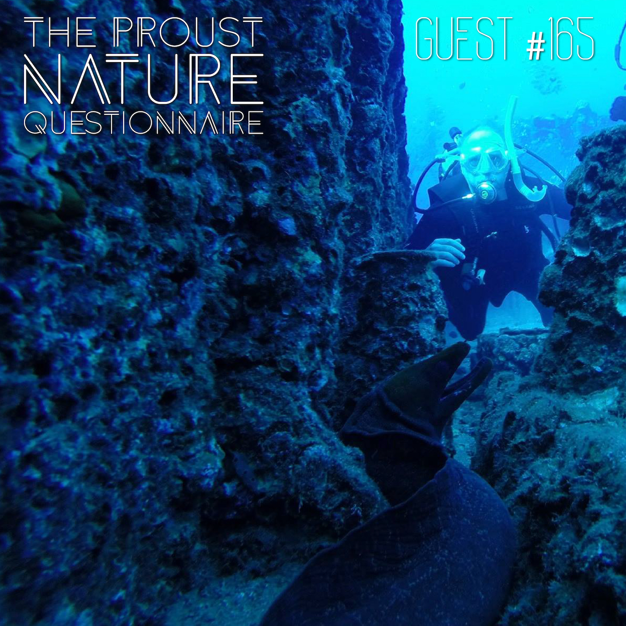 Joel Sercel - The Proust Nature Questionnaire Joel Sercel - The Proust Nature Questionnaire
